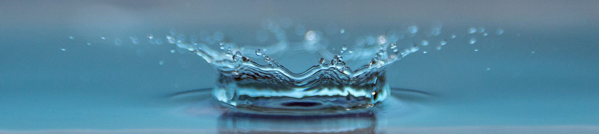 Watery Choices - Growers Network