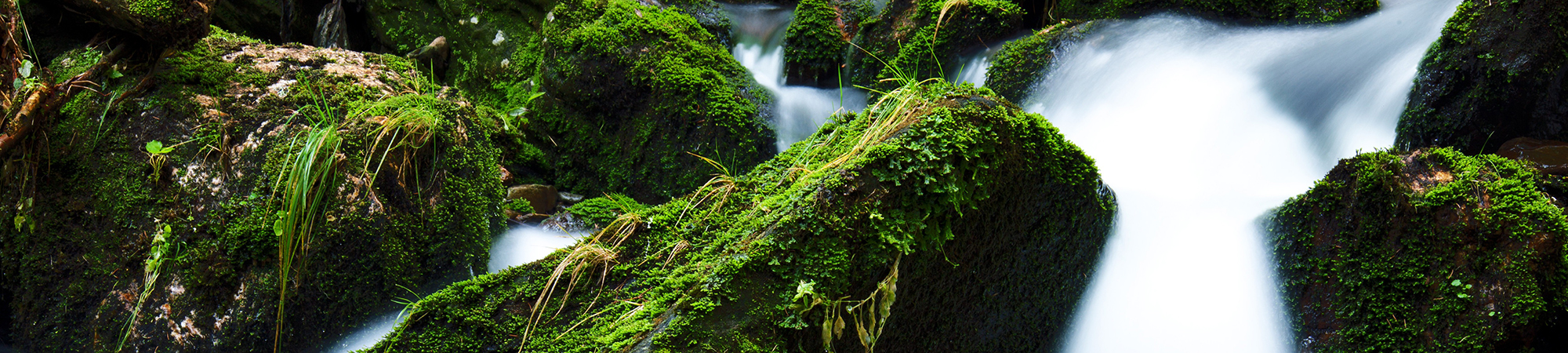 A Greener Green Part 2: Water Consumption And Innovation - Growers Network