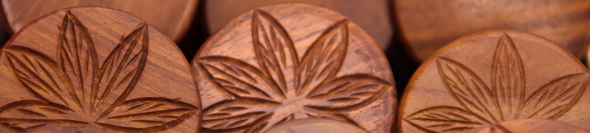 How to Grow Cannabis 121: Seed Genetics - Growers Network