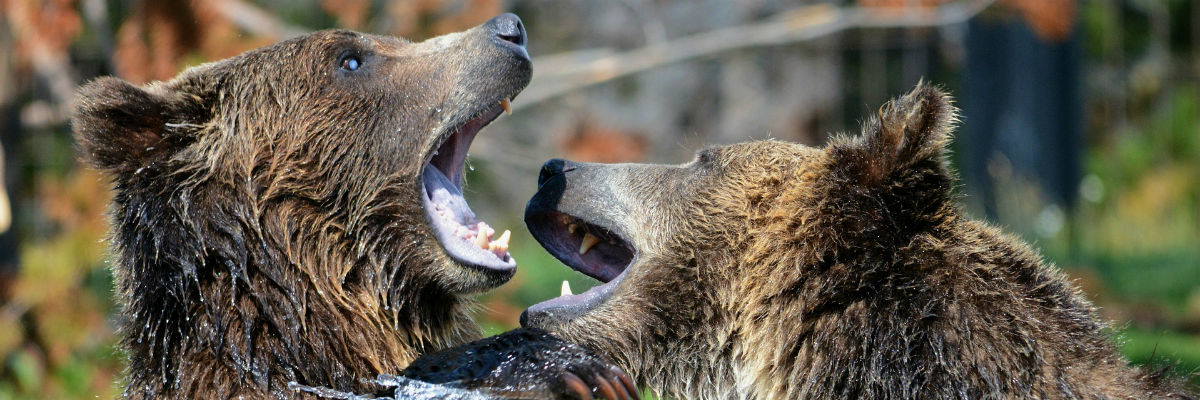 What's Happening with California Lab Tests? - Growers Network