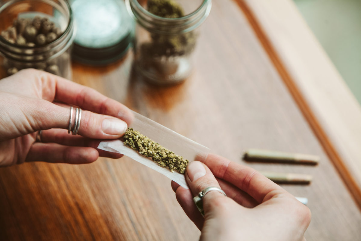 Best Automatic Joint Roller For Cannabis And Hemp Growers Network